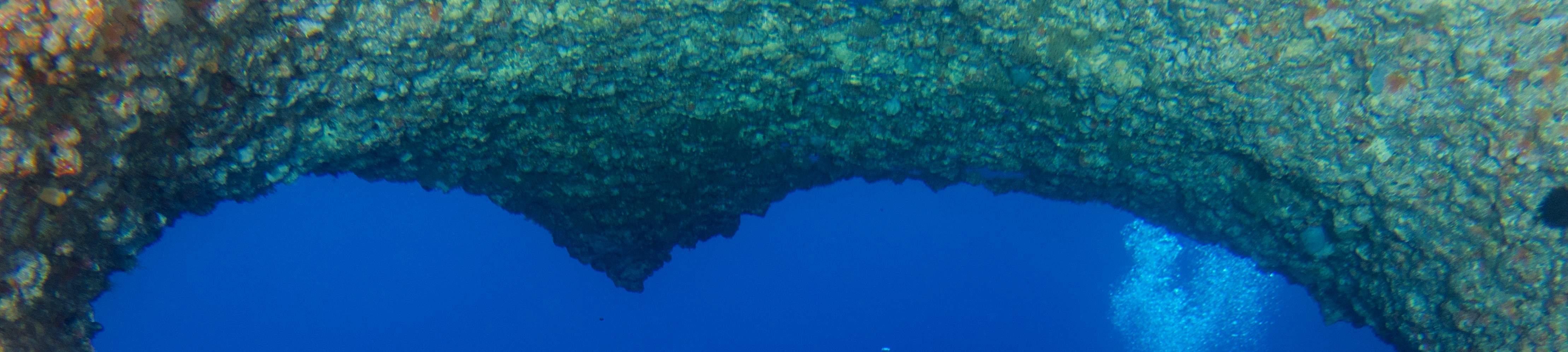 Padi 高級開放水域潛水員在線學習撒丁島頂級五星級潛水度假村 Klook 客路